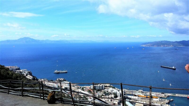 From Marbella: Guided Private Trip to Gibraltar and Estepona - Final Thoughts