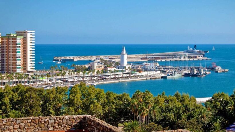 From Marbella: Malaga private Tour - Return Journey and Drop-Off