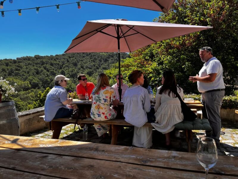 From Marseille: Aix en Provence Wine and Cheese Tour - The Authentic Charm of Provence in a Day