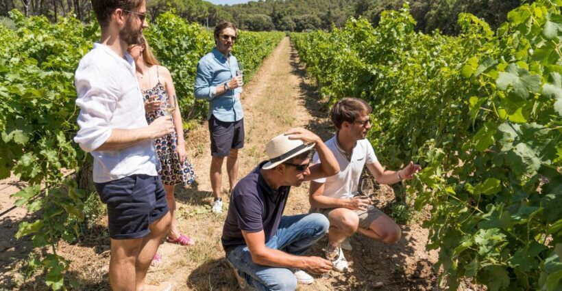 From Marseille: Bandol & Cassis Full-day Wine tour - The Journey Begins: Coastal Drive and Cap Canaille