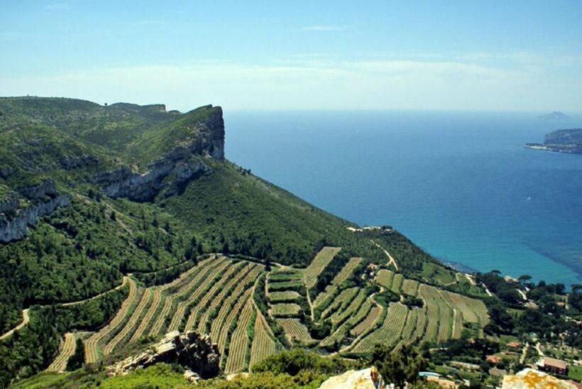 From Marseille: Bandol/Cassis Wine Tour with Viewpoint - What You Can Expect: Practical Details