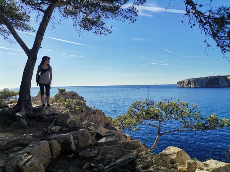From Marseille: Calanques National Park Guided Hike - What makes this tour stand out?