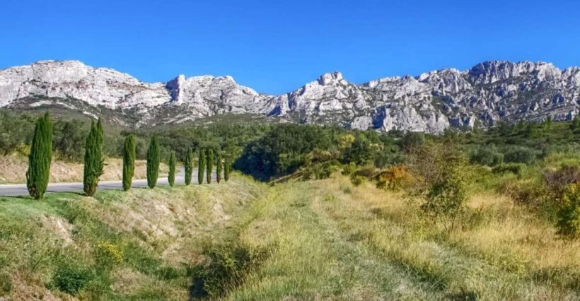 From Marseille: Full-Day Les Baux de Provence Wine Tour - An In-Depth Look at the Tour