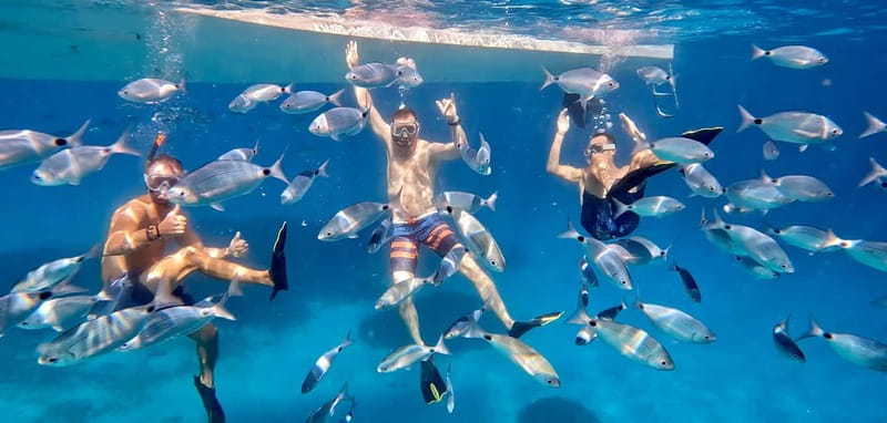 From Marseille: Iconic Calanques Boat Tour with Swimming - What’s Included & Practical Details