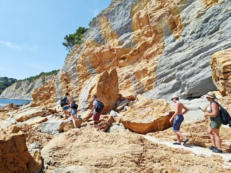 From Marseille to the Calanques Blueues by train, hike, lagoons and villages - Key Points