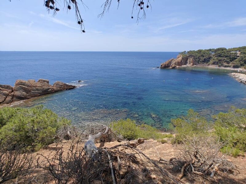 From Marseille to the Calanques Blueues by train, hike, lagoons and villages - FAQ