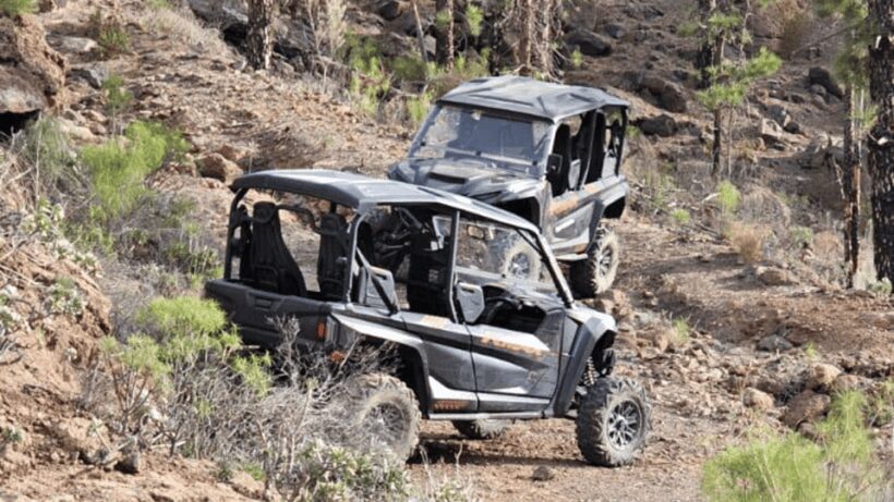 From Maspalomas: Volcanic Landscapes 4-Seater Buggy Tour - Key Points