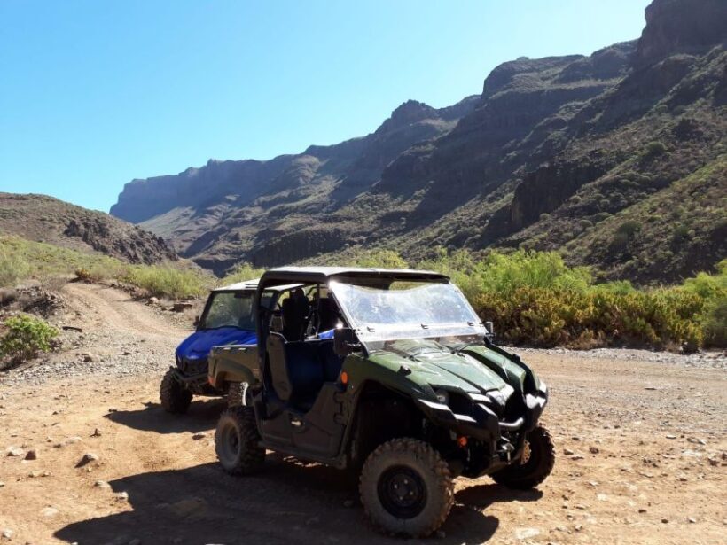 From Maspalomas: Volcanic Landscapes 4-Seater Buggy Tour - Who Will Enjoy This Tour?