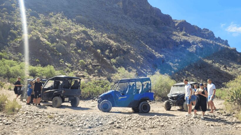 From Maspalomas: Volcanic Landscapes 4-Seater Buggy Tour - The Bottom Line