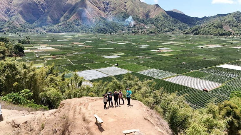 From Mataram: Sembalun Village & Sendang Gile Waterfall Tour - Exploring Lombok’s Highest Village: Sembalun