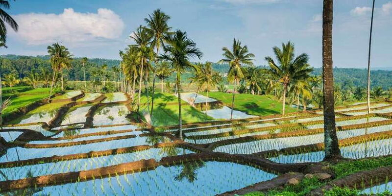 From Mataram: Sendang Gile Waterfall & Senaru Village Tour - Key Points