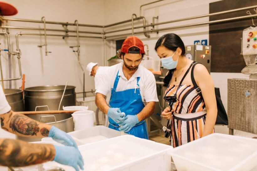 From Matera: Altamura Cheese and Pastry Tasting Day Trip - Discovering the Flavors of Altamura: A Practical Overview