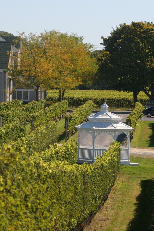 From Mattituck: Guided Brewery and Vineyard Tour by Bicycle - An In-Depth Look at the Tour