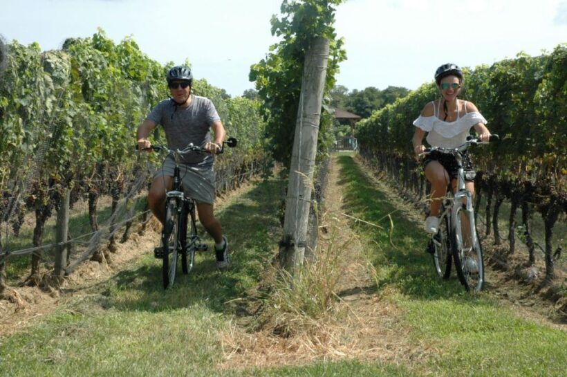 From Mattituck: North Fork Area Bike Tour with Food Tasting - Who Will Love This Tour?