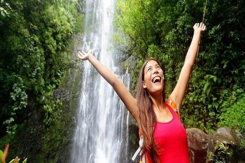 From Maui: Road to Hana Rainforest and Waterfall Experience - The Itinerary: A Day of Natural and Cultural Discovery