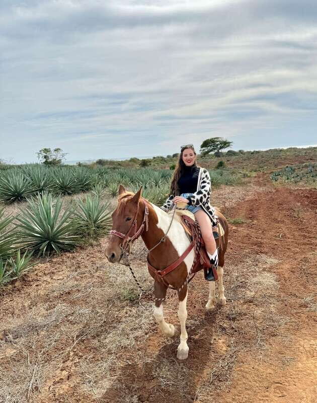 From Mazatlan: ATV & Horse Back riding with Tequila Tasting - How the Tour Begins: Seamless Pickup and Orientation