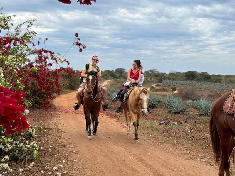 From Mazatlan: ATV & Horse Back riding with Tequila Tasting - Horseback Riding: A Relaxing Way to Explore