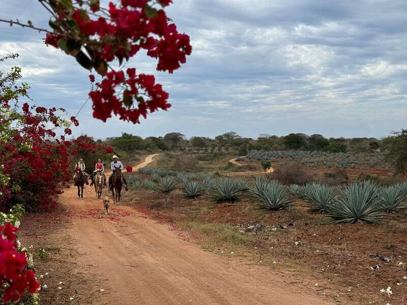 From Mazatlan: ATV & Horse Back riding with Tequila Tasting - The Regional Mexican Lunch: A Taste of Sinaloa