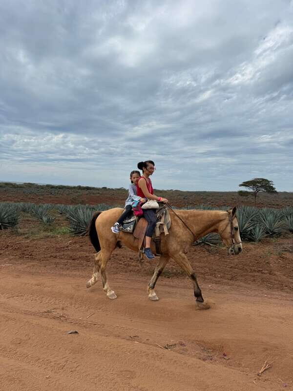 From Mazatlan: ATV & Horse Back riding with Tequila Tasting - Mezcal Factory Tour and Tasting: A Cultural Highlight