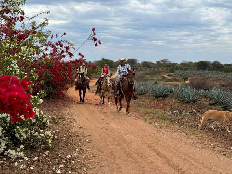 From Mazatlan: ATV & Horse Back riding with Tequila Tasting - Weather and Accessibility