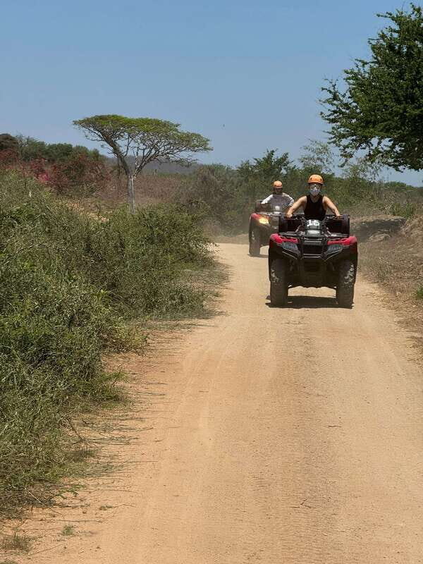 From Mazatlán: ATV Tour into Sierra Madre with Lunch - What the Tour Offers: An Overview