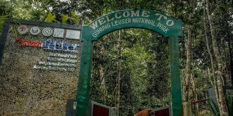 From Medan : 6 Hours Trekking for Orang Utan at Mount Leuser - Final Thoughts