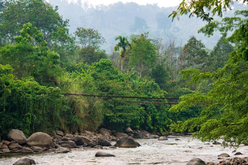 From Medan: Mount Leuser National Park Orang Utan Trip - Authenticity and Conservation: Why This Tour Matters