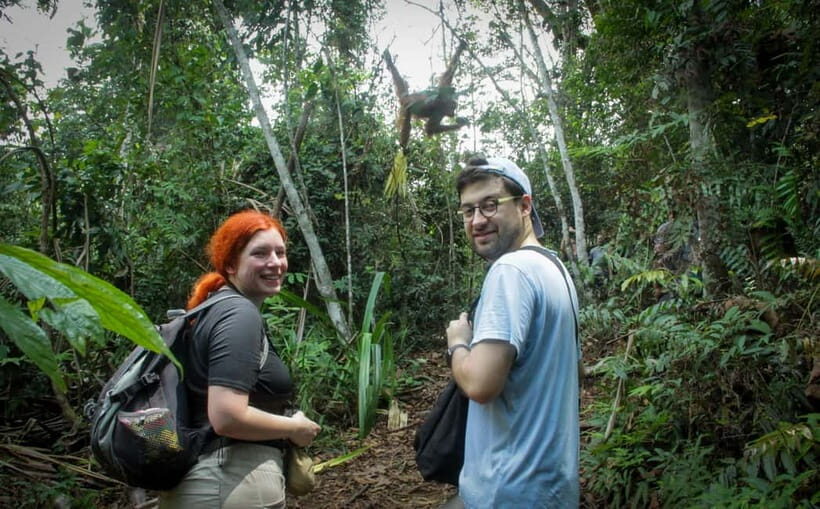 From Medan: Mount Leuser National Park Orang Utan Trip - Who Will Love This Tour?