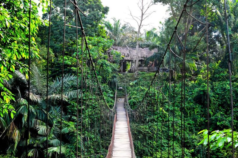 From Medan: Mount Leuser National Park Orang Utan Trip - FAQ
