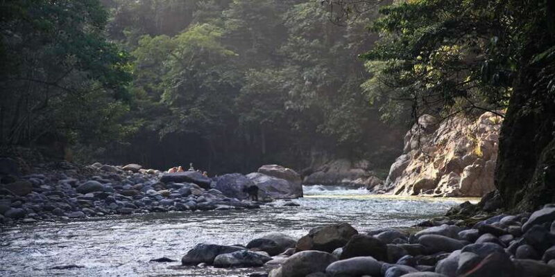 From Medan: Mount Leuser National Park Orang Utan Trip - Lunch at the Care Center
