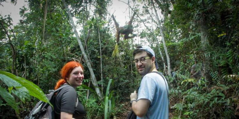 From Medan: Mount Leuser National Park Orang Utan Trip - Trekking in Mount Leuser National Park