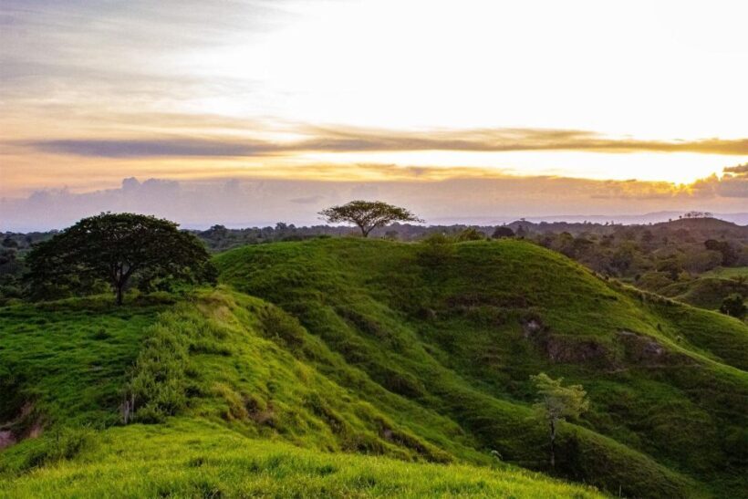 From Medellin; (All-In) The Real Horseback Ranch Experience - An In-Depth Look at the Experience