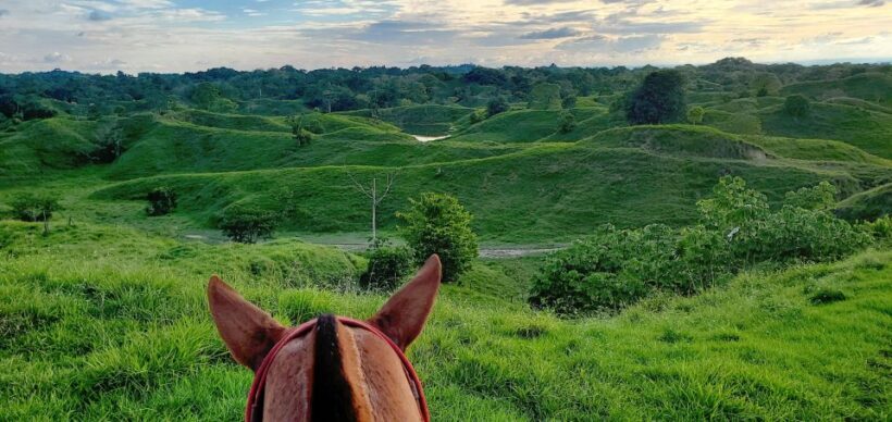 From Medellin; (All-In) The Real Horseback Ranch Experience - Practical Tips for Travelers