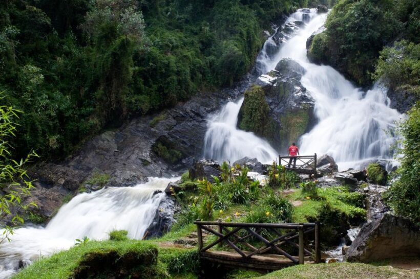 From Medellín: El Retiro Private Tour with Food Tastings - Who Is This Tour Best For?