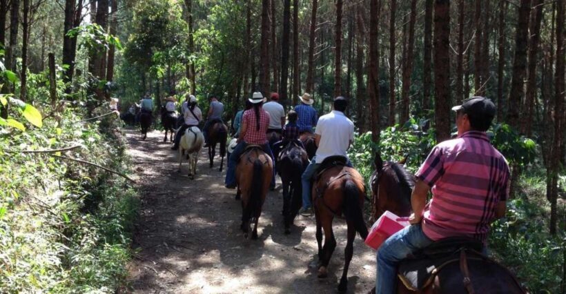 From Medellin: Guided Horseback Riding Tour in Nature - FAQ