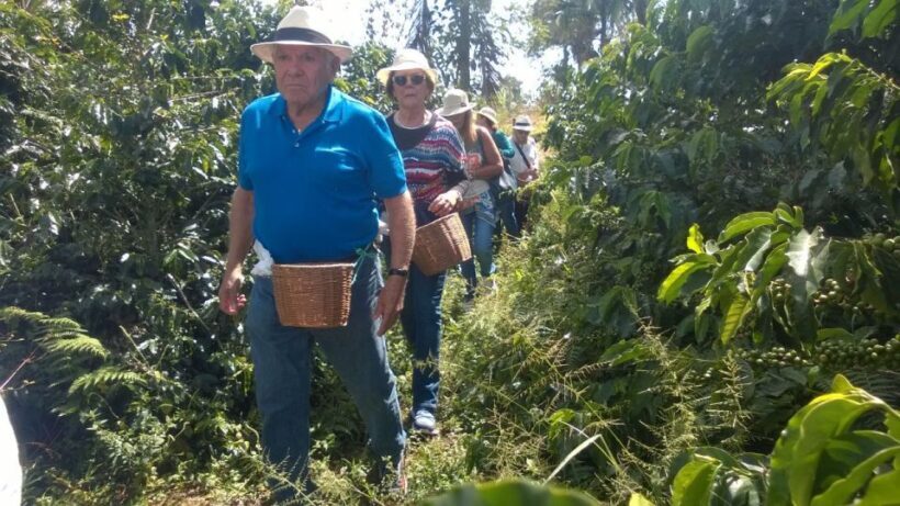 From Medellín: Jericó Full-Day Tour - Discovering Jericó: A Heritage Town in the Andes