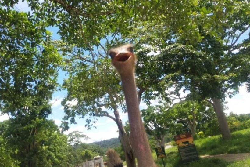 From Medellín: Pablo Escobars Hacienda Nápoles Private Tour - Key Points