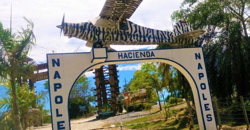 From Medellín: Pablo Escobars Hacienda Nápoles Private Tour - Safari Drive and Animal Encounters