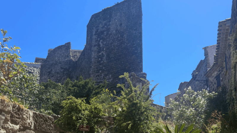 From medieval Evenos to Bandol wines : a taste of Provence - What Travelers Are Saying