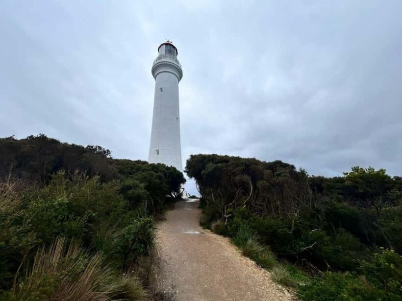 From Melbourne: 12 Apostles & Great Ocean Road Private Tour - An In-Depth Look at the Tour Itinerary