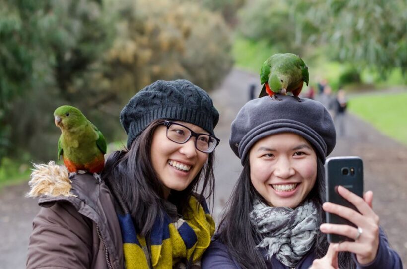 From Melbourne: 3-Day Great Ocean Road Grampians Tour - What’s Included and What’s Not