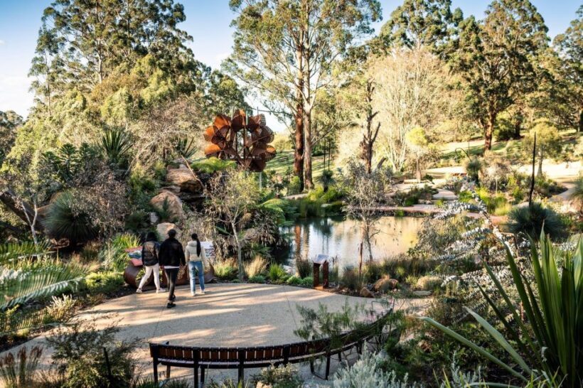 From Melbourne: Dandenong Ranges Private Day Tour - Key Points