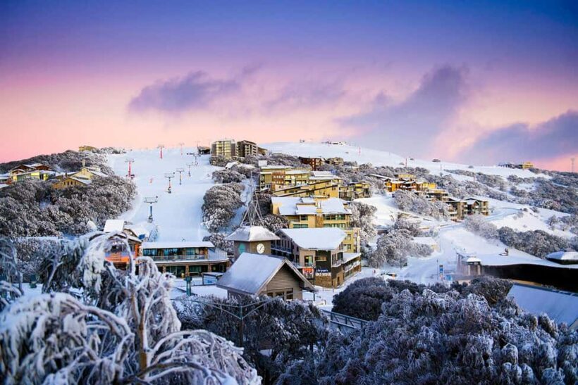 From Melbourne: Day Tour to Mt Buller with Snow Clothes - Who Is This Tour Best For?