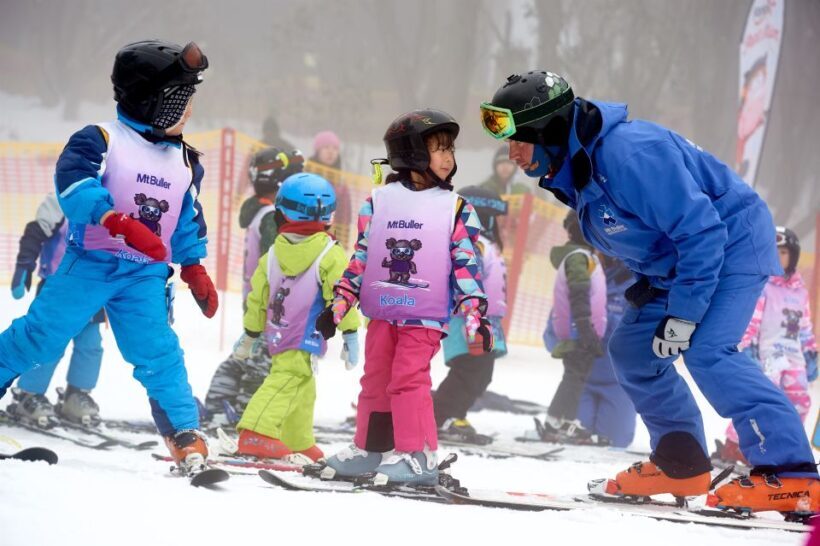 From Melbourne: Day Trip to Mt Buller by Premium Tour Coach - Who Should Consider This Tour?