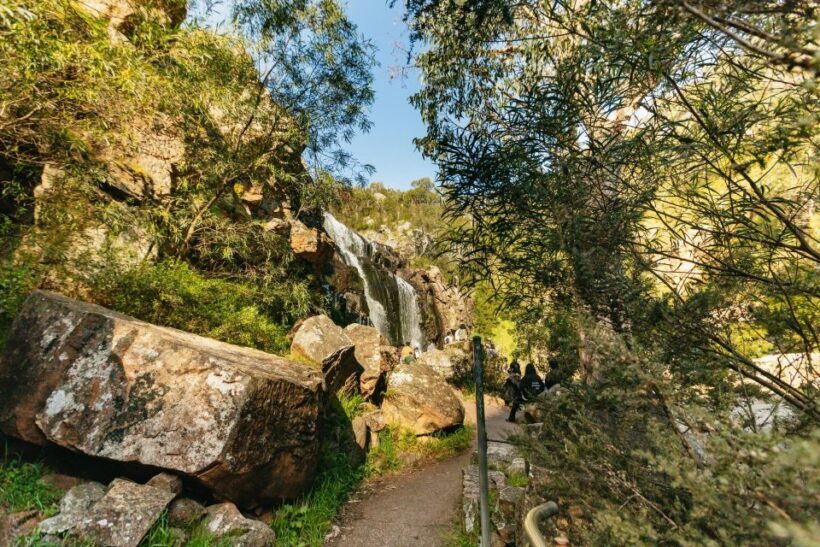 From Melbourne: Grampians National Park Group Tour - Wildlife and Nature Encounters