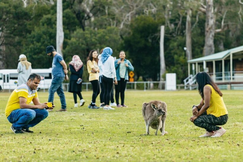 From Melbourne: Grampians National Park Group Tour - Food and Value