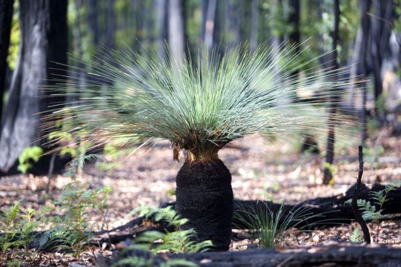 From Melbourne: Grampians National Park & Kangaroos - The Itinerary in Detail