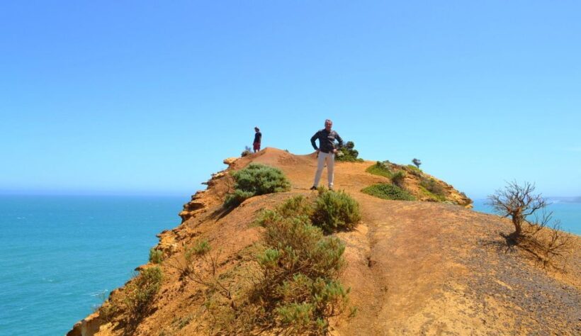 From Melbourne: Great Ocean Road Day Trip with Dinner - Key Points