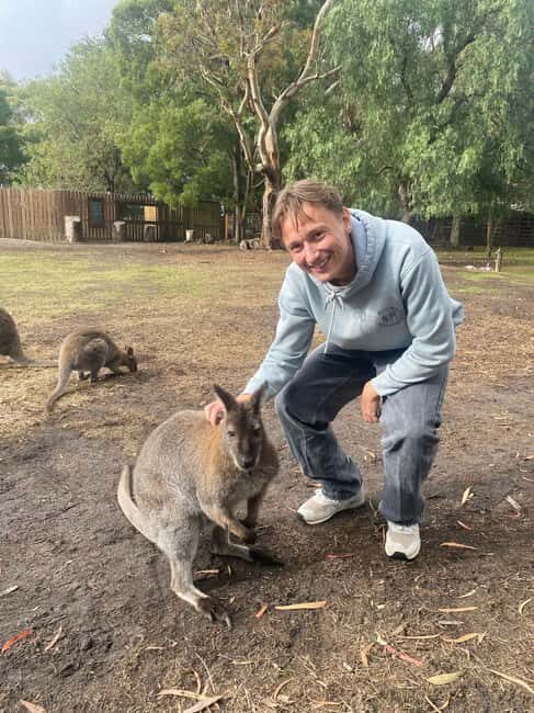 From Melbourne: Great Ocean Road, Dingos, Sparkling & Lunch - Key Points