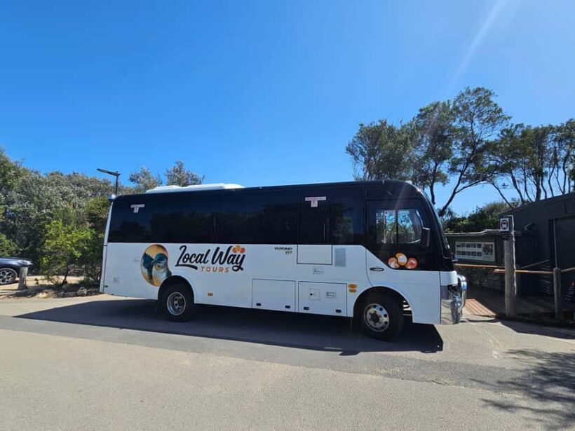 From Melbourne: Great Ocean Road, Dingos, Sparkling & Lunch - Why This Tour Offers Great Value